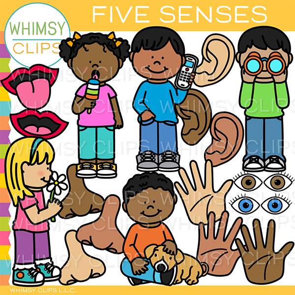 Clipart For The Five Senses
