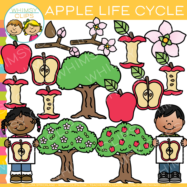 Apple Life Cycle Clip Art – Whimsy Clips