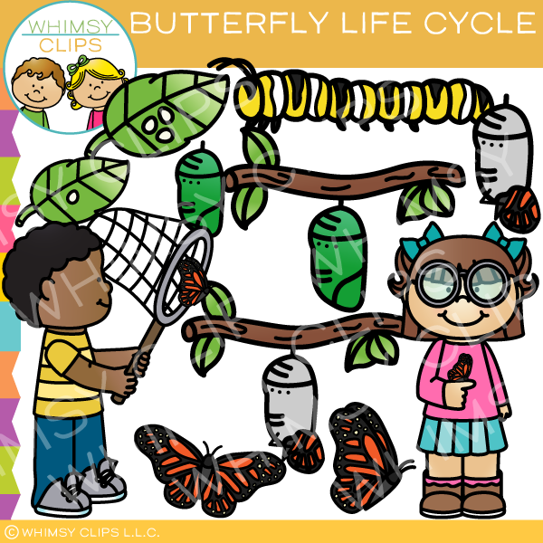 Butterfly Life Cycle Clip Art – Whimsy Clips