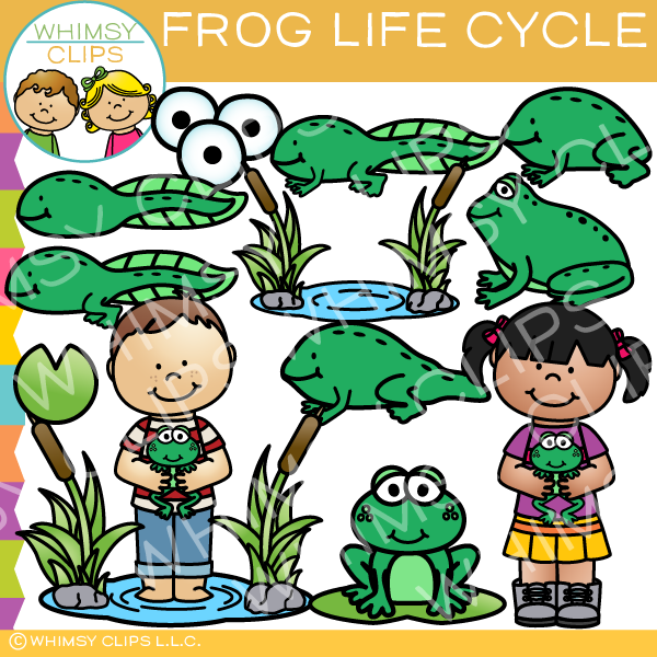 Life Cycle Of A Frog Clipart